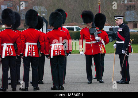 Trooping the Colour 2018. Brigade Major Lt Col Guy Stone. Lieutenant ...