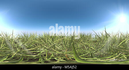 green grass and sky HDRI map Stock Photo - Alamy