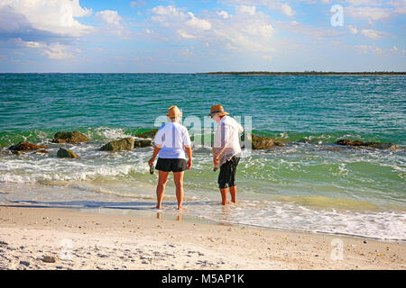 People shark tooth hunting on the beach at the tip of Port Boca Grande ...
