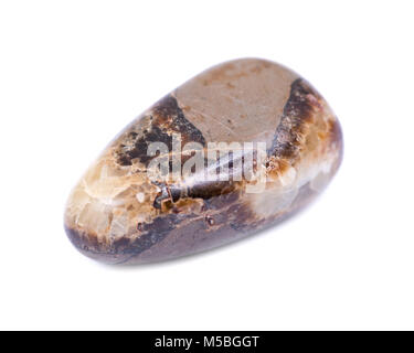 Highly polished tumbled Septarian from India isolated on white ...