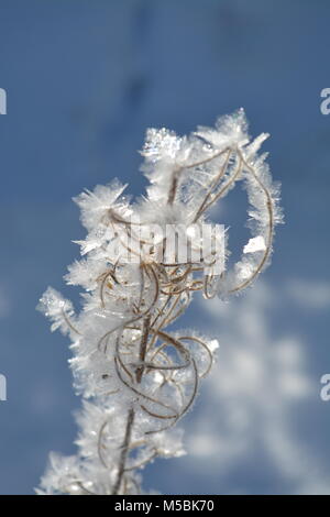 magical winter wonderland - ice crystals Stock Photo - Alamy