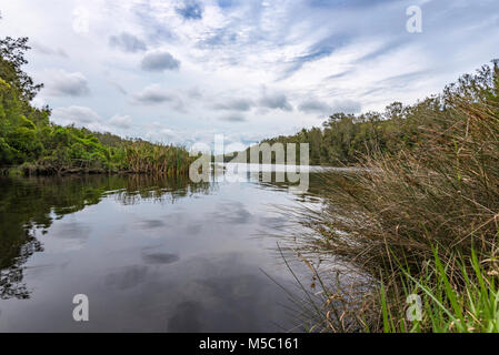 Warrell Creek that joins the Nambucca River on the north coast of NSW ...