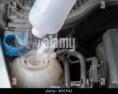 Checking car radiator coolant level and add up liqiud Stock Photo - Alamy