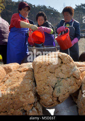 Doenjang, traditional fermented Korean soybean paste on a bamboo spoon ...