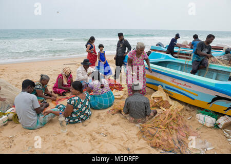 Sri Lanka, Mullaitivu, Asia, beach, sea Stock Photo - Alamy