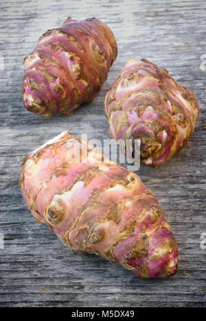 Group of fresh uncooked topinambur or Jerusalem artichoke roots close ...