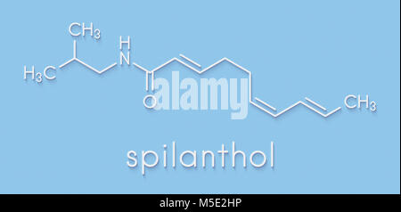 Spilanthol molecule. Local anesthetic present in Acmella oleracea ...