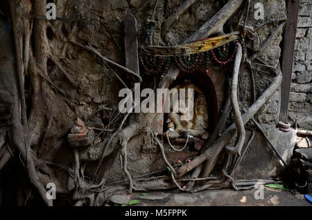 Deity in tree roots, Kolkata, West Bengal, India, Asia Stock Photo - Alamy
