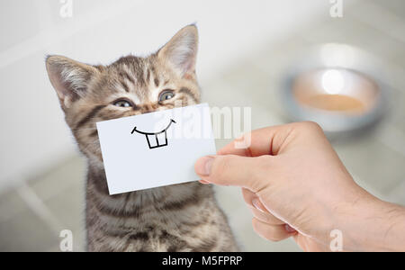 Portrait of a happy cat with cat food on its face Stock Photo - Alamy