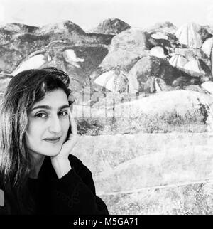 Lydia Baumann, artist painter, uses mixed media in her landscapes ...