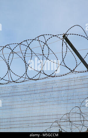 Barbed wire fence, Robben Island Prison, Table Bay, Cape Town, South ...