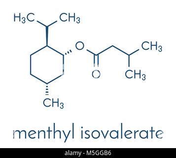 Menthyl isovalerate or validolum drug molecule. Skeletal formula Stock ...