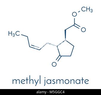 Methyl jasmonate plant stress signal molecule. Skeletal formula Stock ...