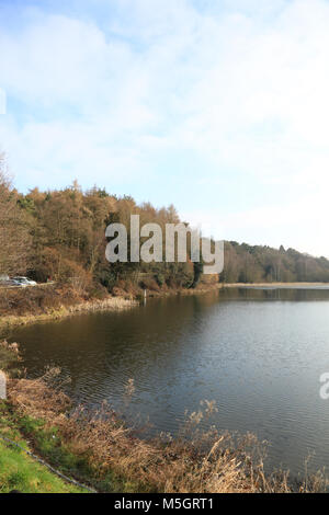 Hurcott pools and wood nature reserve, near Kidderminster ...