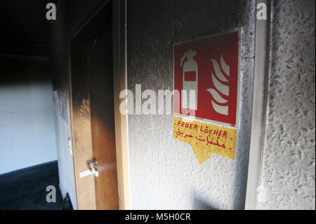 Fire extinguisher on a wall covered with climbing plants Stock Photo ...