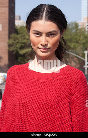 Asian Fashion model Sui He Stock Photo - Alamy