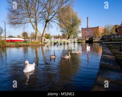 An old cotton mill in Manchester, converted into apartments, UK Stock ...