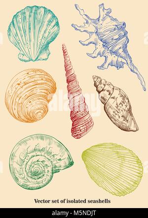 A pattern of seashells of different colors on a blue background, vector ...