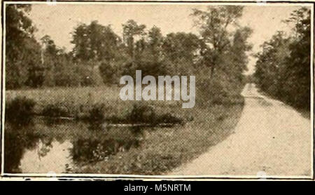 "Southern good roads" (1910 Stock Photo - Alamy