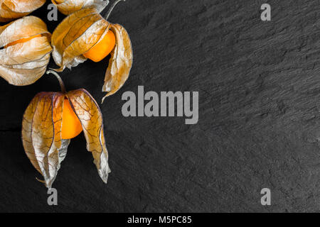 Cape Gooseberries with shells on black rock surface background Stock ...