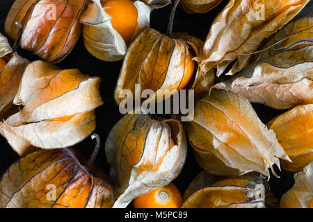 Cape Gooseberries with shells on black rock surface background with the ...