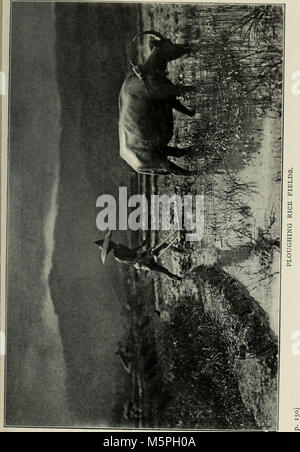 Shans at home . 3 O ? C Stock Photo - Alamy