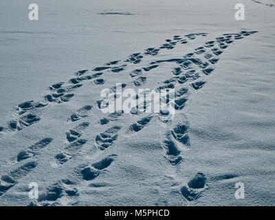 traces left on the snow by a man. Winter season. A photo of a hill made ...