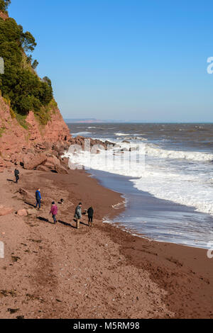 shaldon beach,ness beach,shaldon,uk, devon, harbor, boats, holiday ...