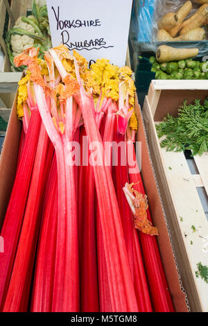 Early season Rhubarb for sale in North Yorkshire in February grown in ...