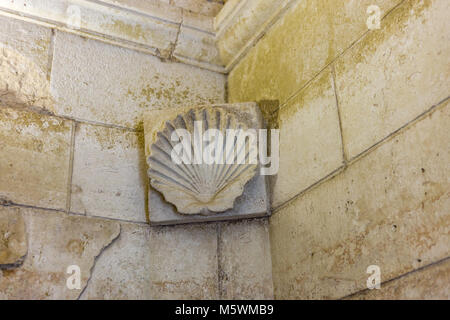 Shell carved in a wall frieze Stock Photo - Alamy