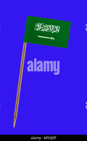 Flag of Saudi Arabia on stick figure - national and social community ...