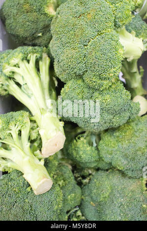 Pile of broccoli florets on market stall close-up Stock Photo - Alamy