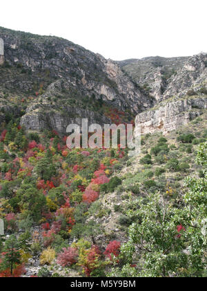 Fall Foliage on The Devils Hall Trail, Guadalupe Mountains, National ...