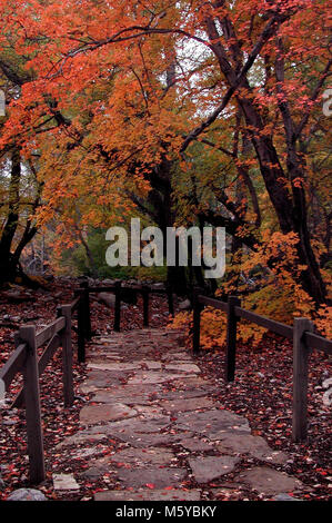 Smith spring Guadalupe Mountains National Park Texas USA November 2005 ...