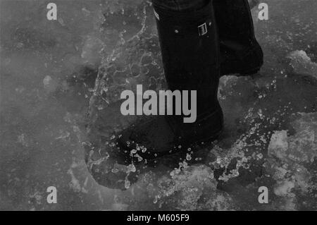 Heber Down Conservation Area in Whitby Ontario Stock Photo - Alamy