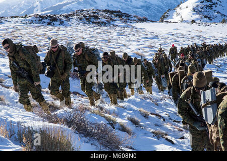 Marines with Combat Logistics Regiment 25, 2nd Marine Logistics Group ...