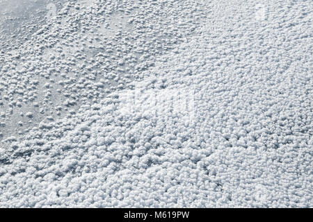 Surface hoar, the most common form of hoarfrost consists of fluffy ice ...