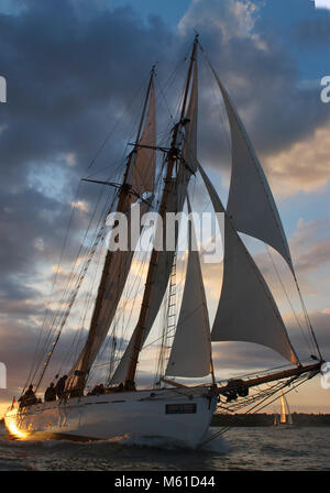 The 1902 classic schooner Coral, designed by Fred Shepherd, races ...