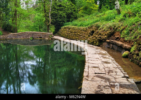 UK,Somerset,Yeovil,Yeovil Country Park,Ninesprings Stock Photo - Alamy
