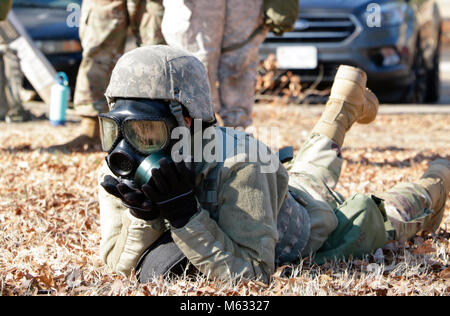 Soldiers assigned to 331st Modular Causeway Company, 11th ...