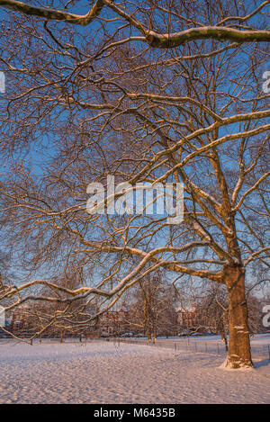 The snow falls in the Clapham Common area and the toboggans are out in ...