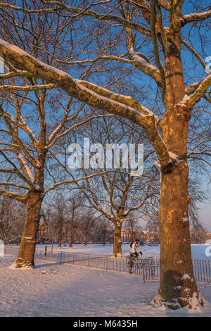 The snow falls in the Clapham Common area and the toboggans are out in ...