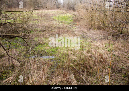 Mesolithic archaeological site of Blick Mead springs, Amesbury ...