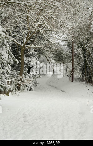 Winter Wonderland - snowy country lane Stock Photo - Alamy