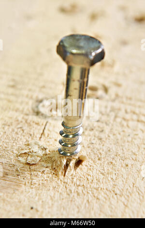 Screw screwed into wooden plank, closeup Stock Photo - Alamy