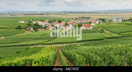 Vineyards Sacy Reims Marne Grand Est France Stock Photo: 210375150 - Alamy