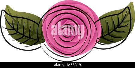 decorative pink rose with leaves top view vector illustration pink and ...