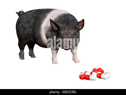 3D rendering of a dark pig looking at pills isolated on white ...