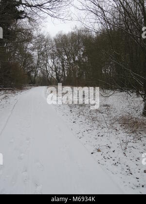 Swindon countryside views in the snow during storm Emma 1st March 2018 ...