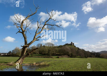 Dryslwyn Castle in the Tywi Valley Carmarthenshire West Wales Stock ...